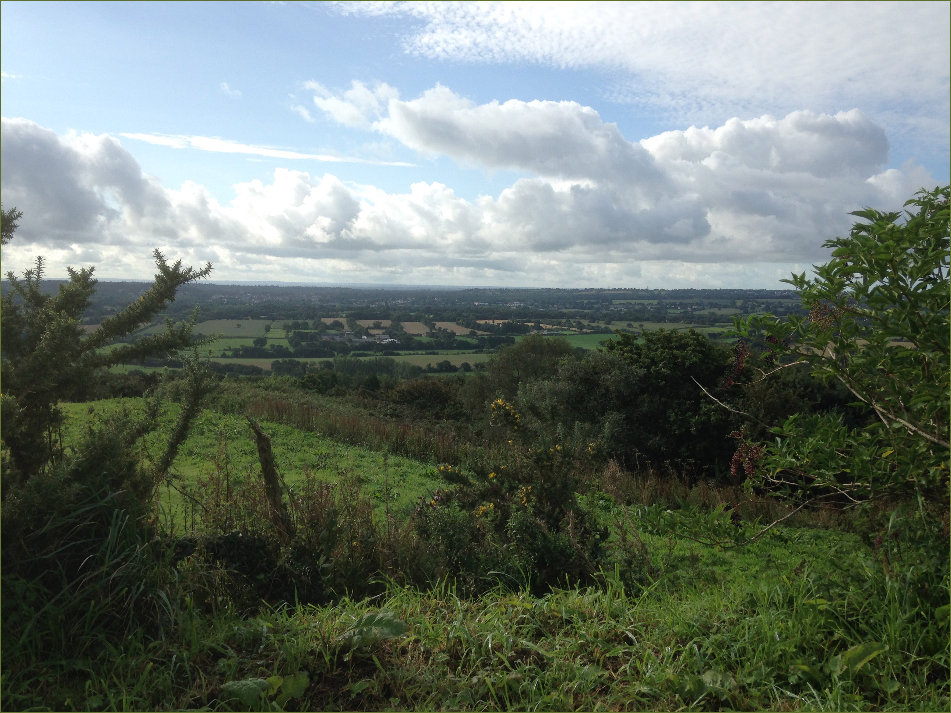 79th Infantry Division - La Haye du Puits: Concentration 56 and Lessay