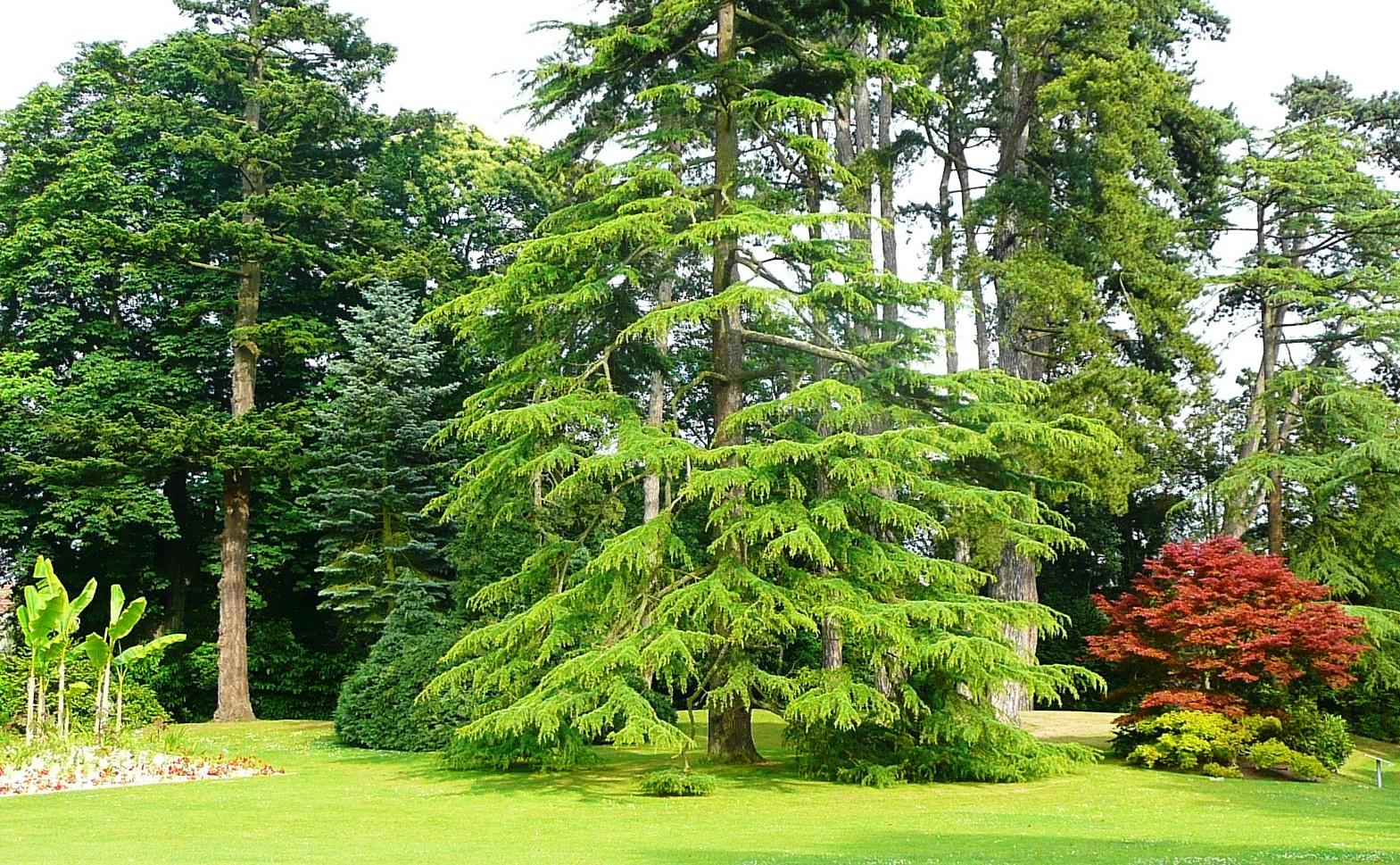 The Best Outdoor Activities In Normandy, France
